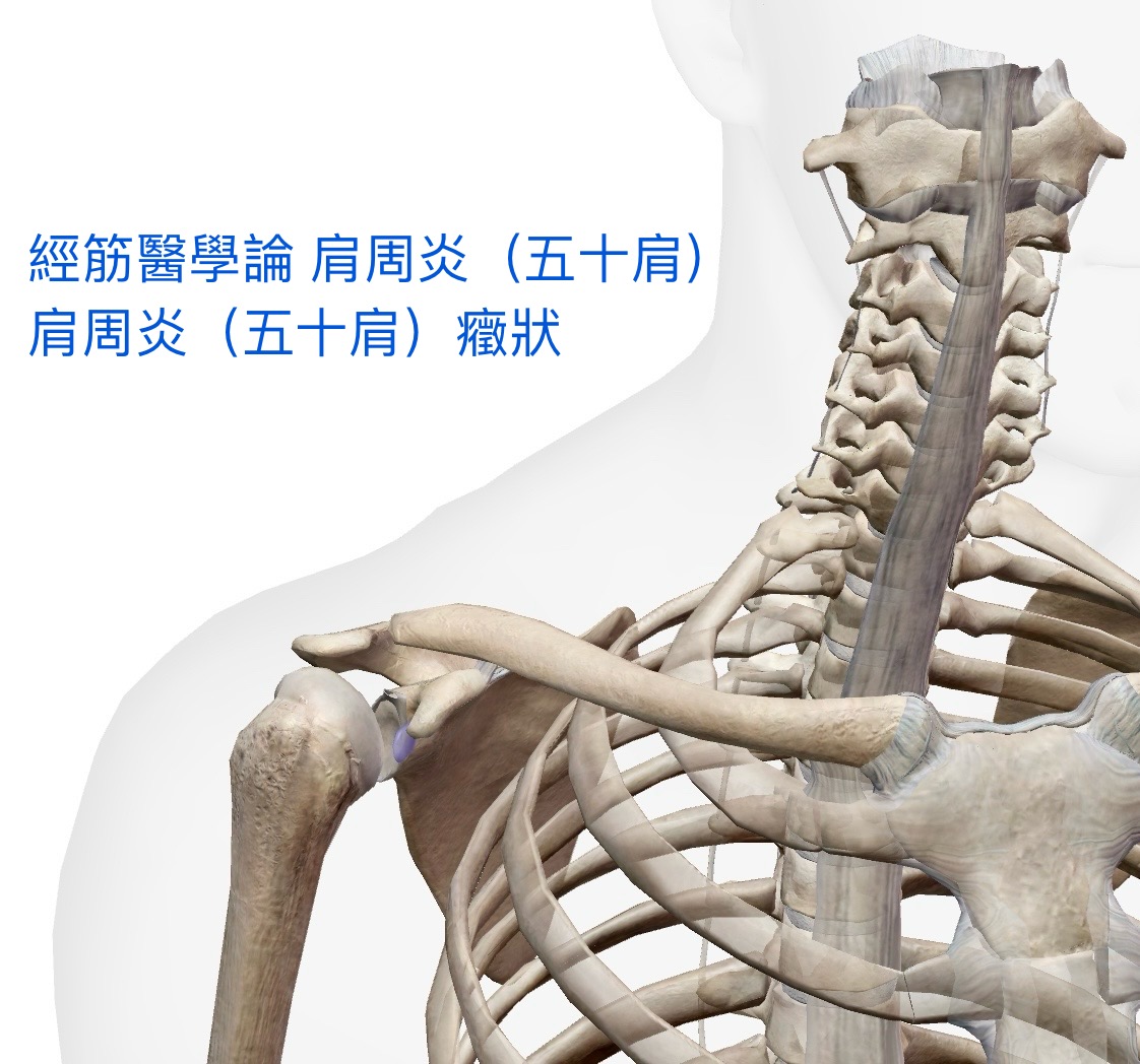 經筋醫學論 肩周炎-五十肩探討成因與處理方法1 – 笑著行 Siu Zhu Hang